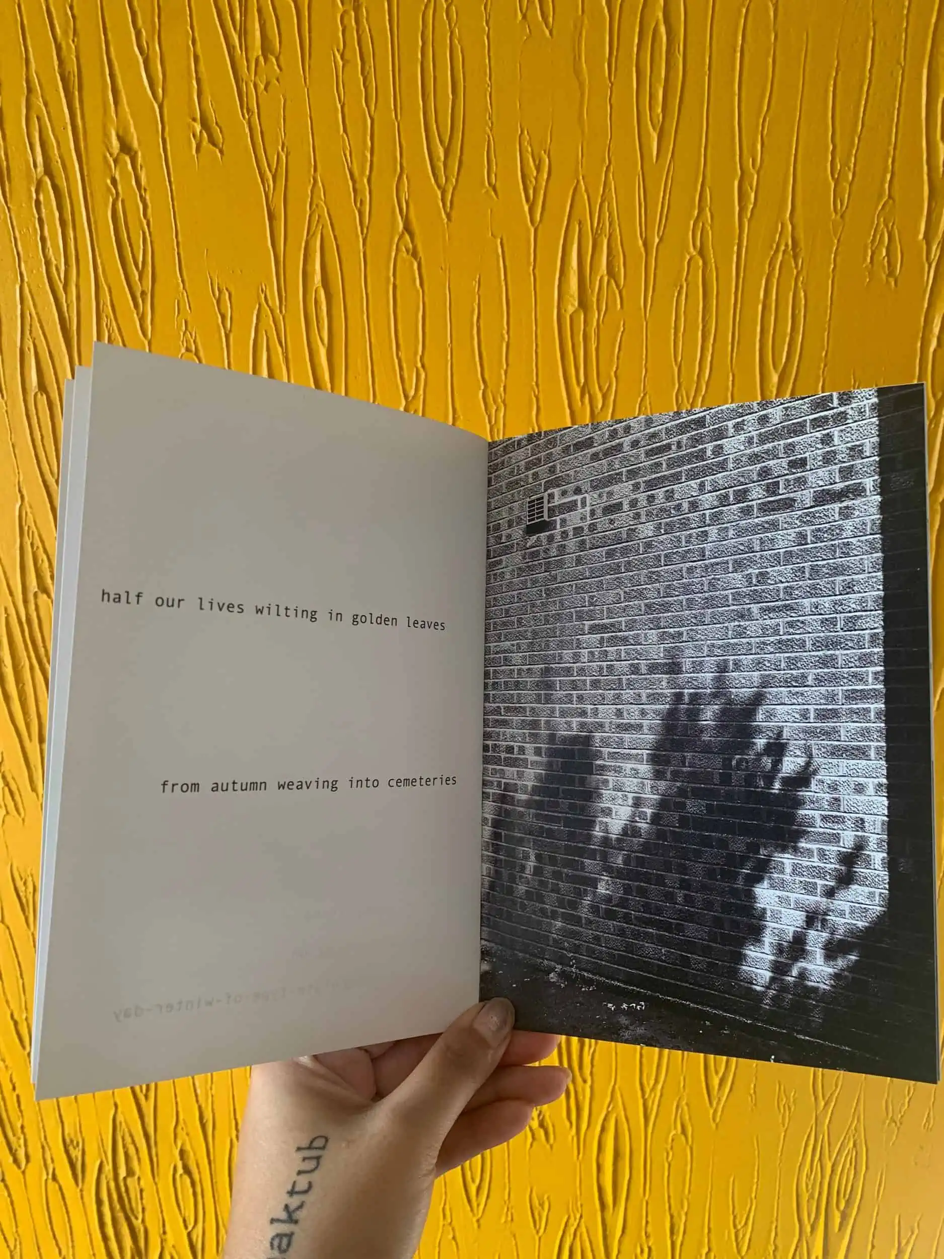 Hansika Jethnani - Bazinega