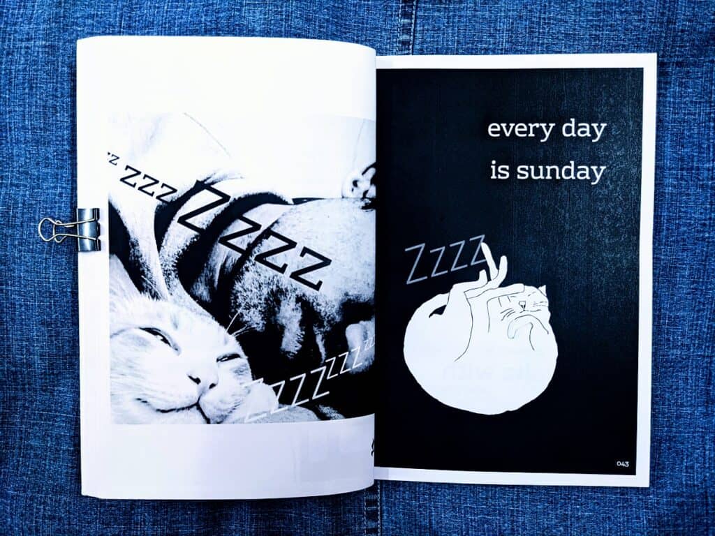 The Blank Noise - Bazinega